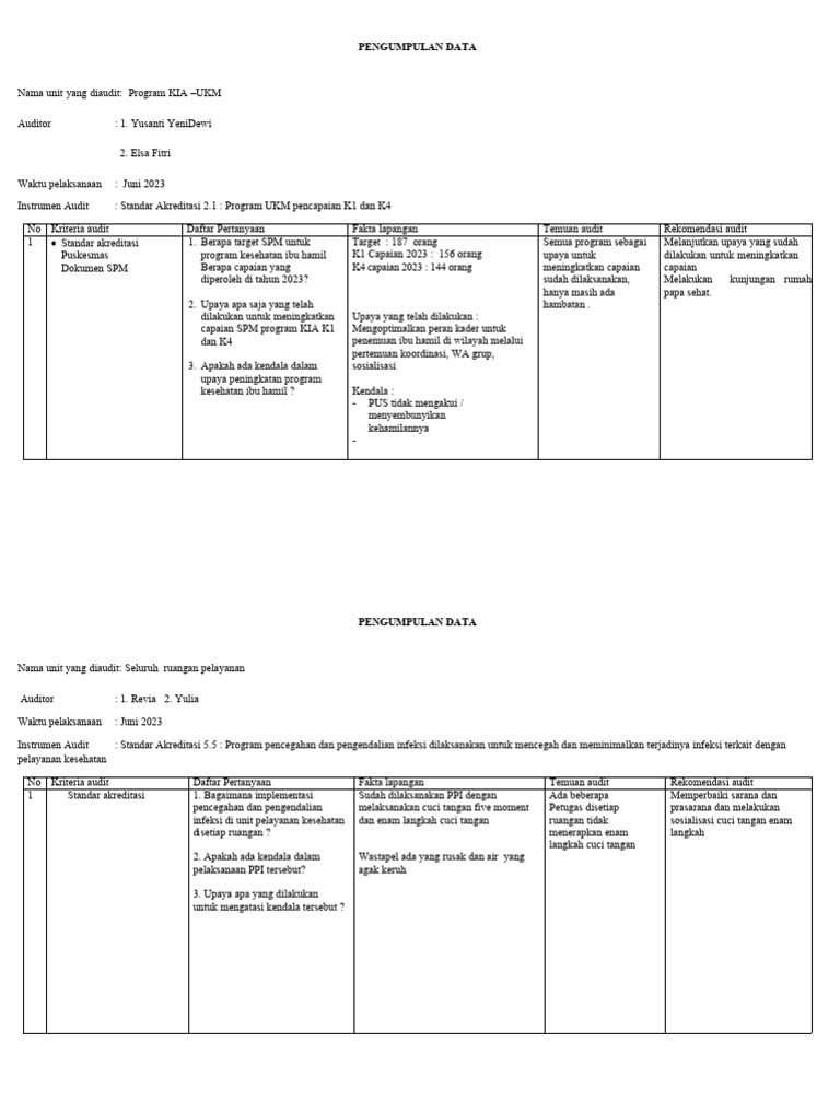 Instrumen Audit Internal 2023 | PDF