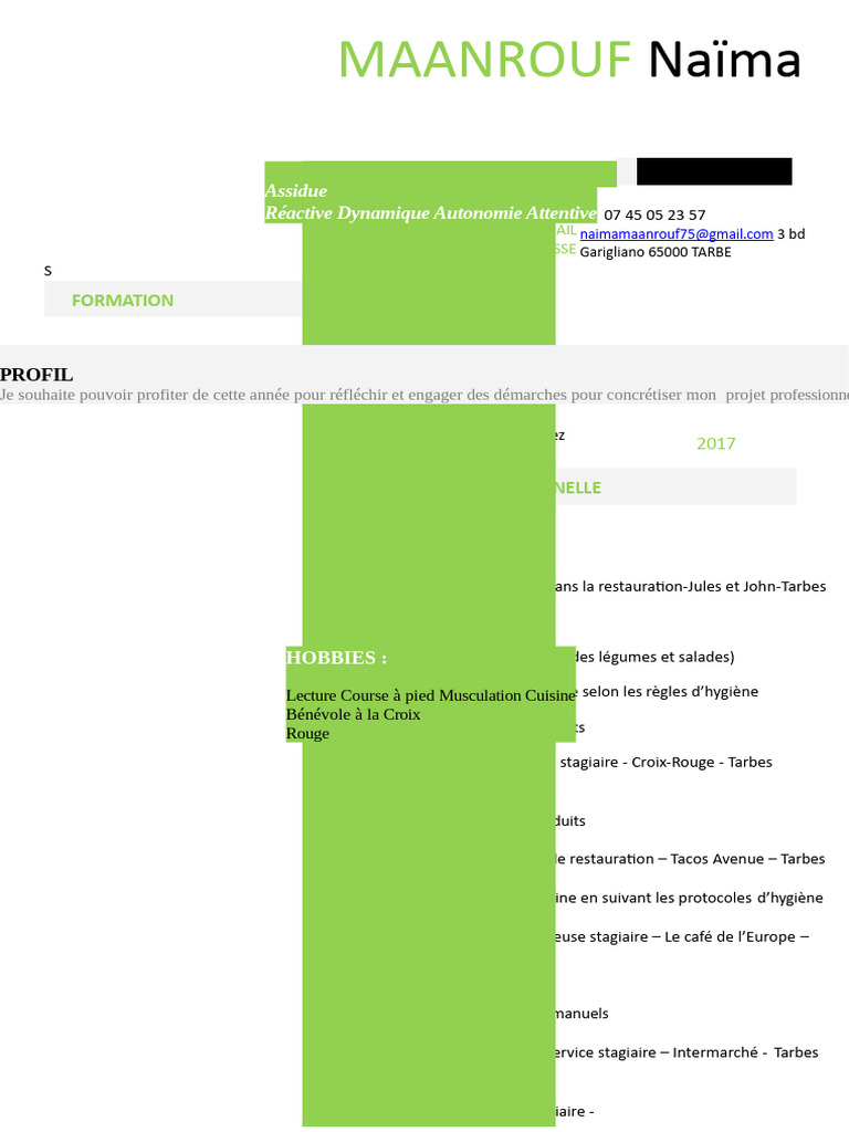 CV Naima Maanrouf | PDF