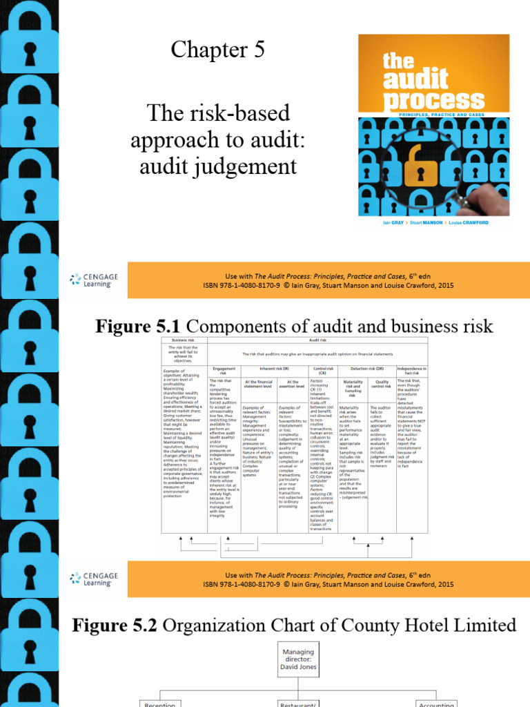 Risk-Based Audit Judgement Explained | PDF
