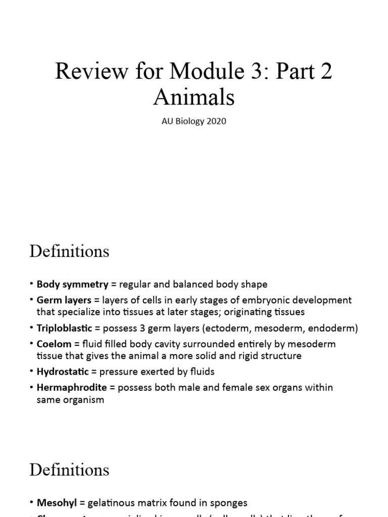 Biology 112 Review For Module 3 ANIMALS Only | PDF | Insects | Invertebrate