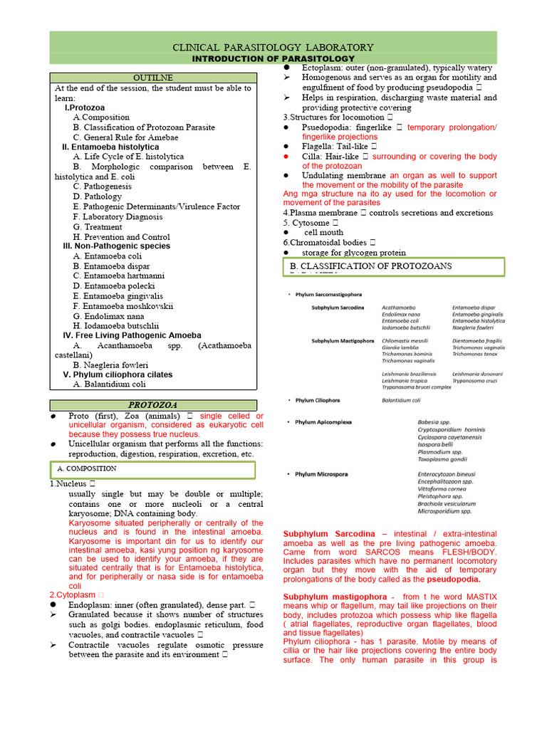 Para Lec Lesson2 | PDF | Diseases And Disorders | Medical Specialties
