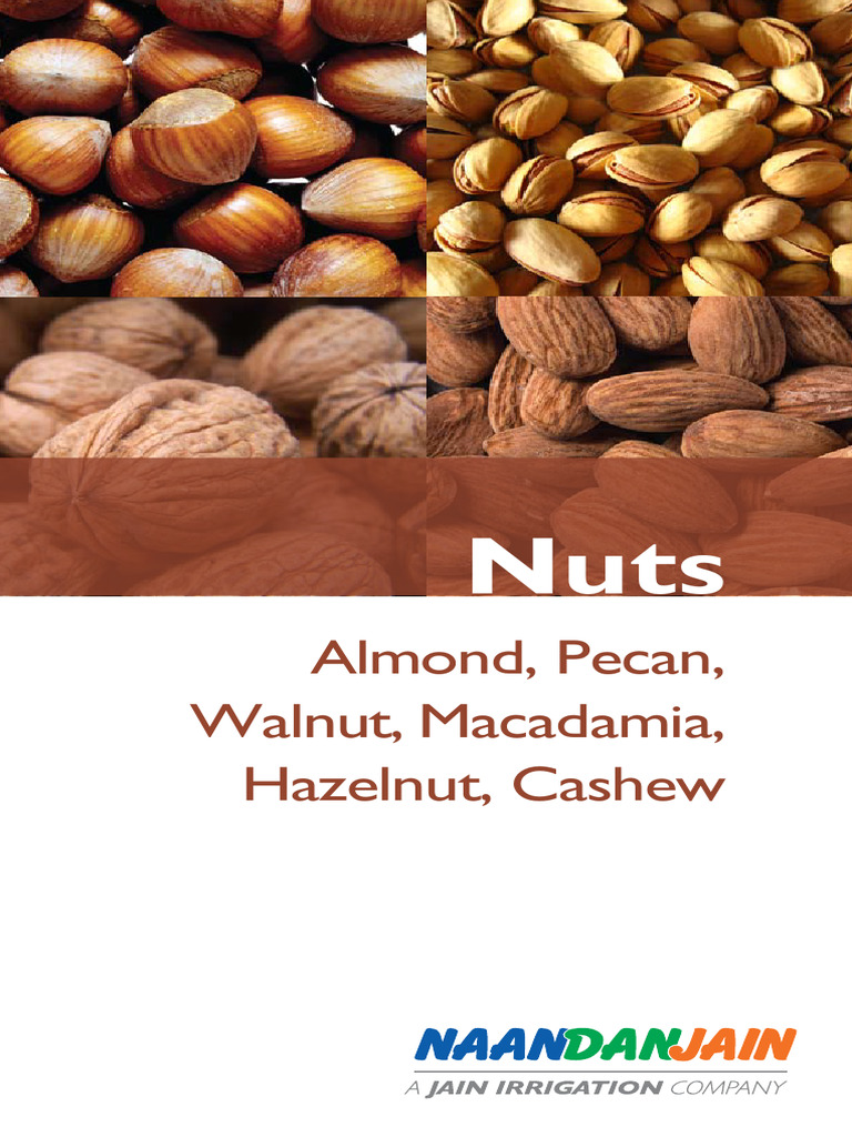 Nuts | PDF | Nut (Fruit) | Trees