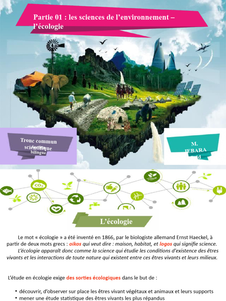 Réalisation d'Une Sortie Écologique | PDF | Écologie | Plantes