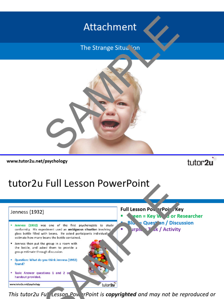 Strange Situation Sample | PDF | Attachment Theory | Psychology