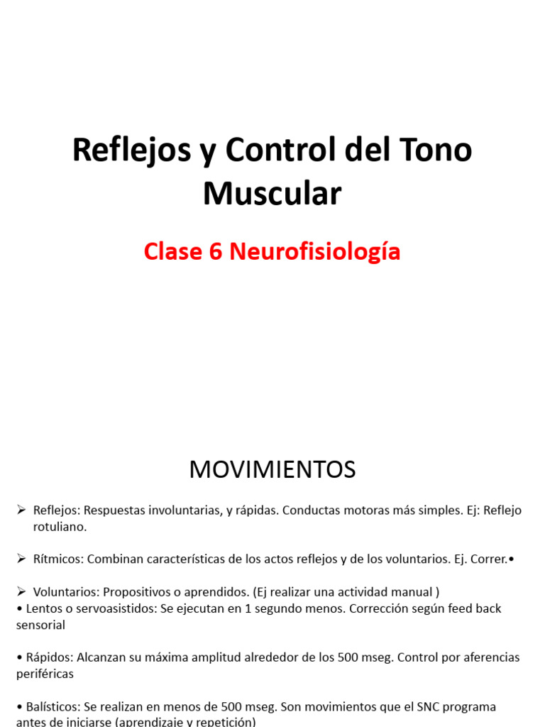 Reflejos y Control Del Tono Muscular Neurofisiologia | PDF | Cerebro ...