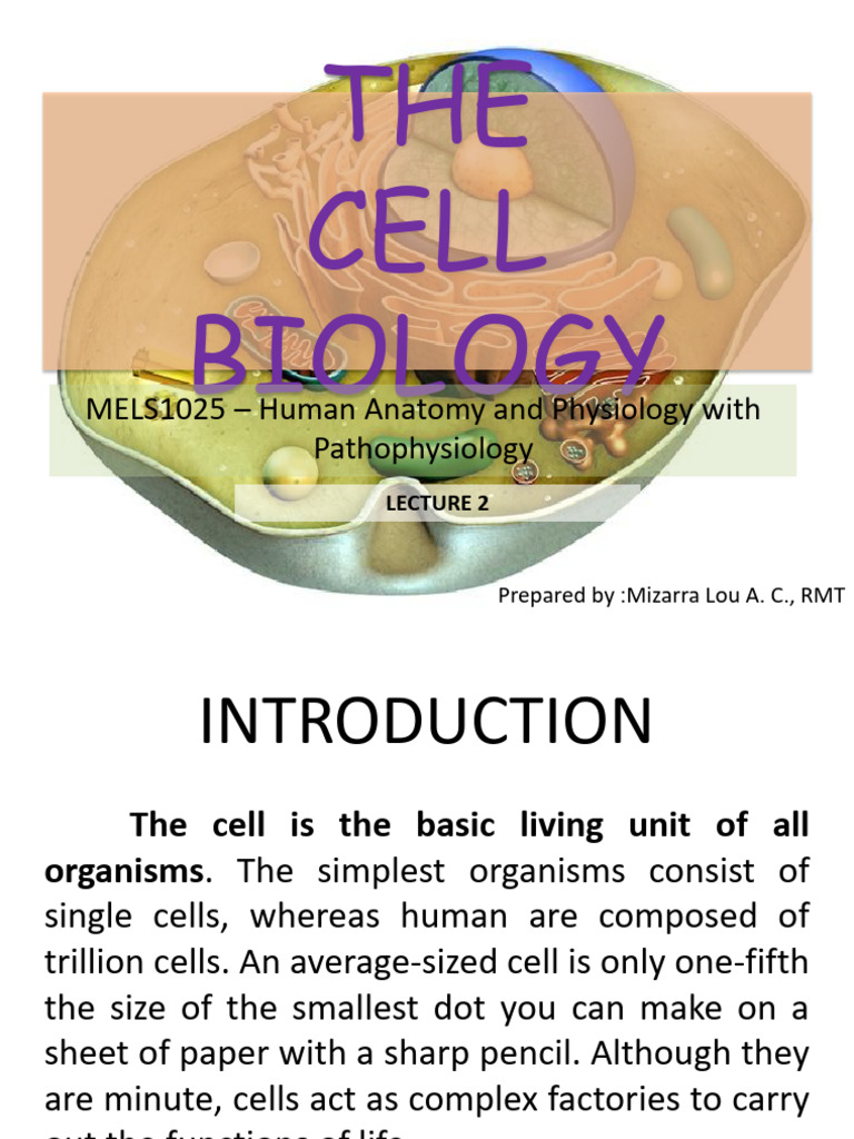 Lec 2 The Cell Biology | PDF | Cell Membrane | Mitosis