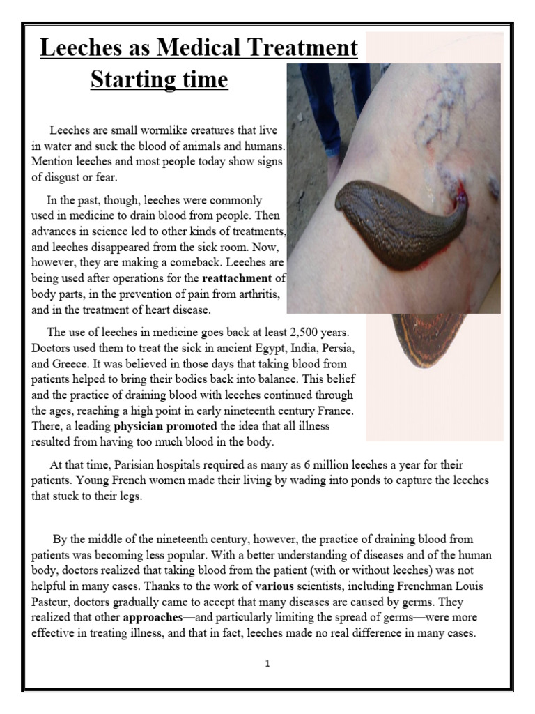 Leeches As Medical Treatment Starting Time | PDF | Physician | Medicine
