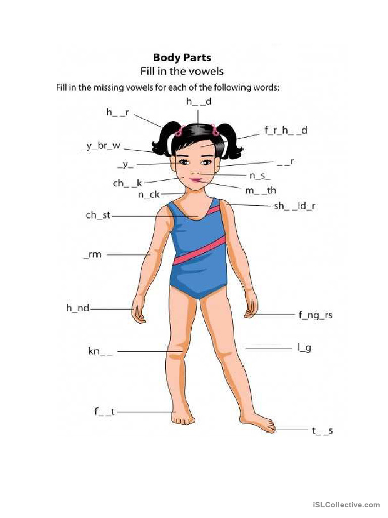 Body Parts Worksheet | PDF