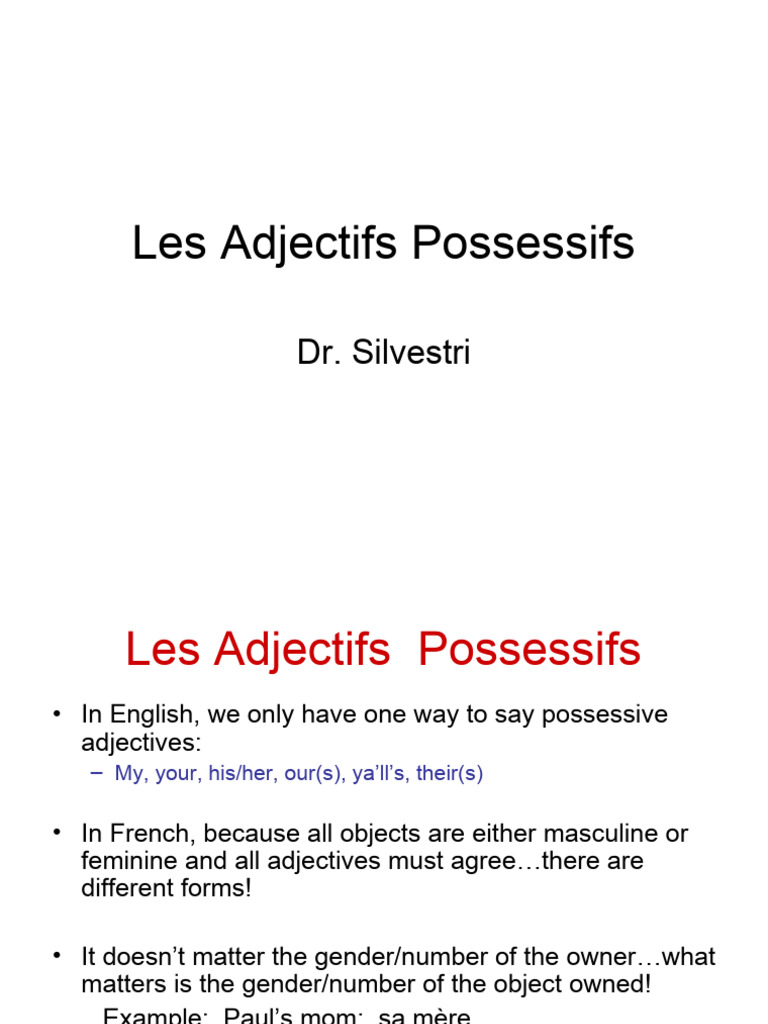 Les Adjectifs Possessifs | PDF | Morphology | Language Mechanics