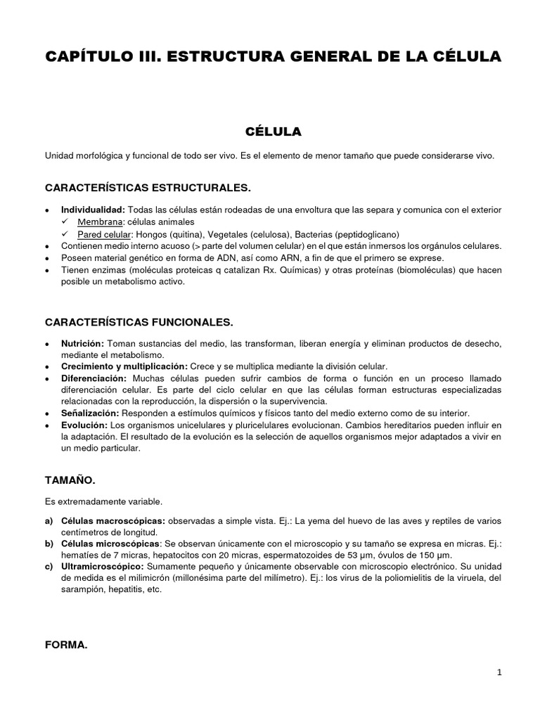 CAPÍTULO 3. Estructura General de La Célula | PDF | Mitosis | Mitosis
