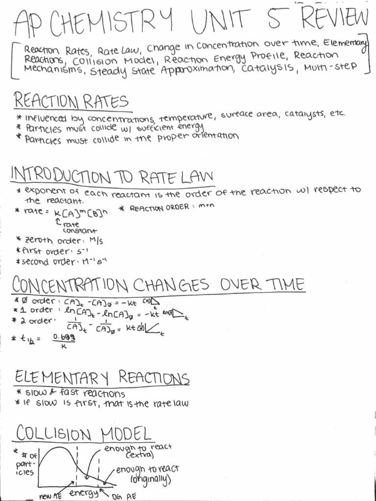 Unit 5 Study Sheet | PDF