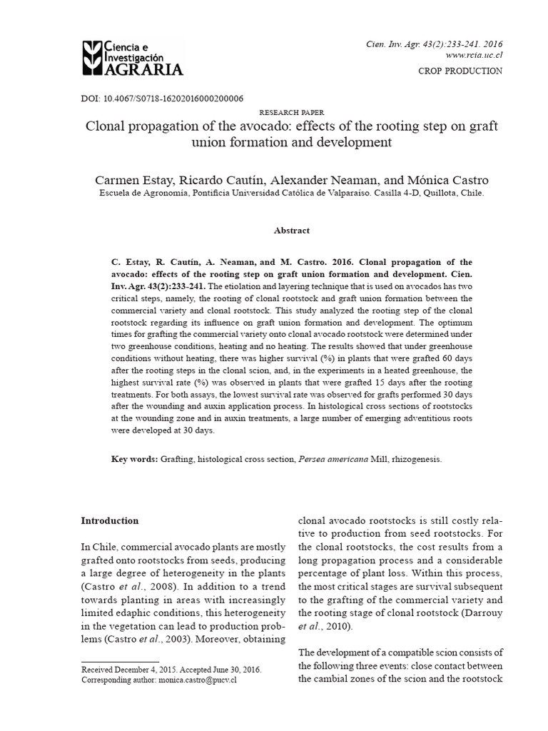 Avocado Clonal Propagation Study | PDF | Grafting | Root