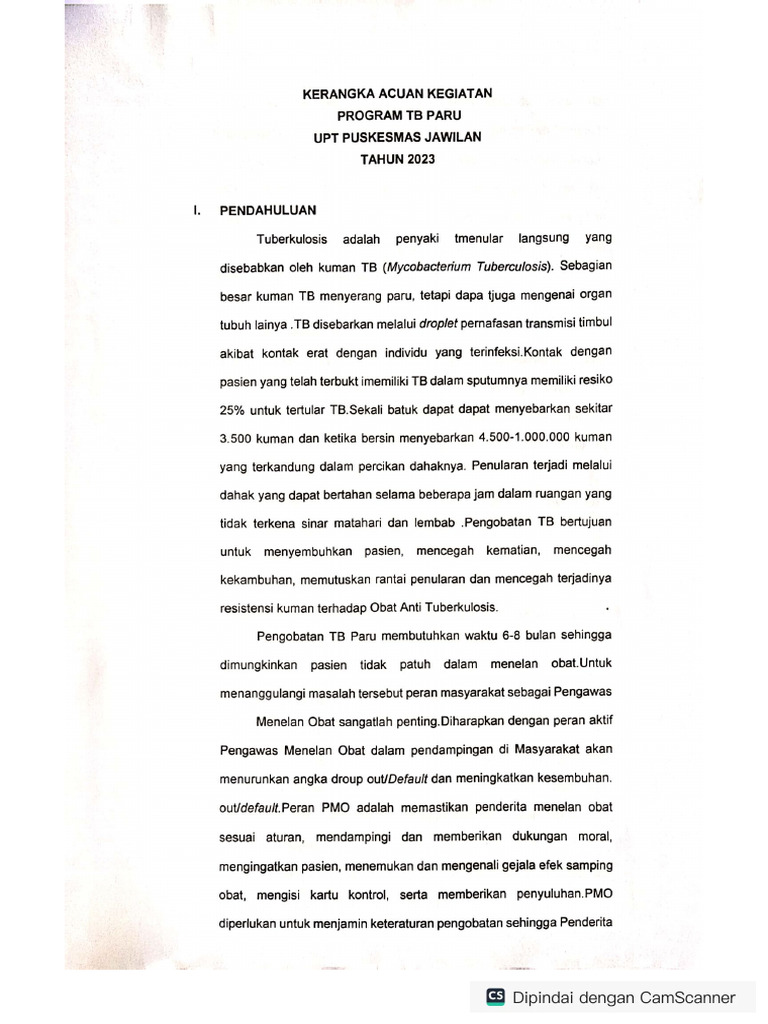 KAK Program TB Paru | PDF