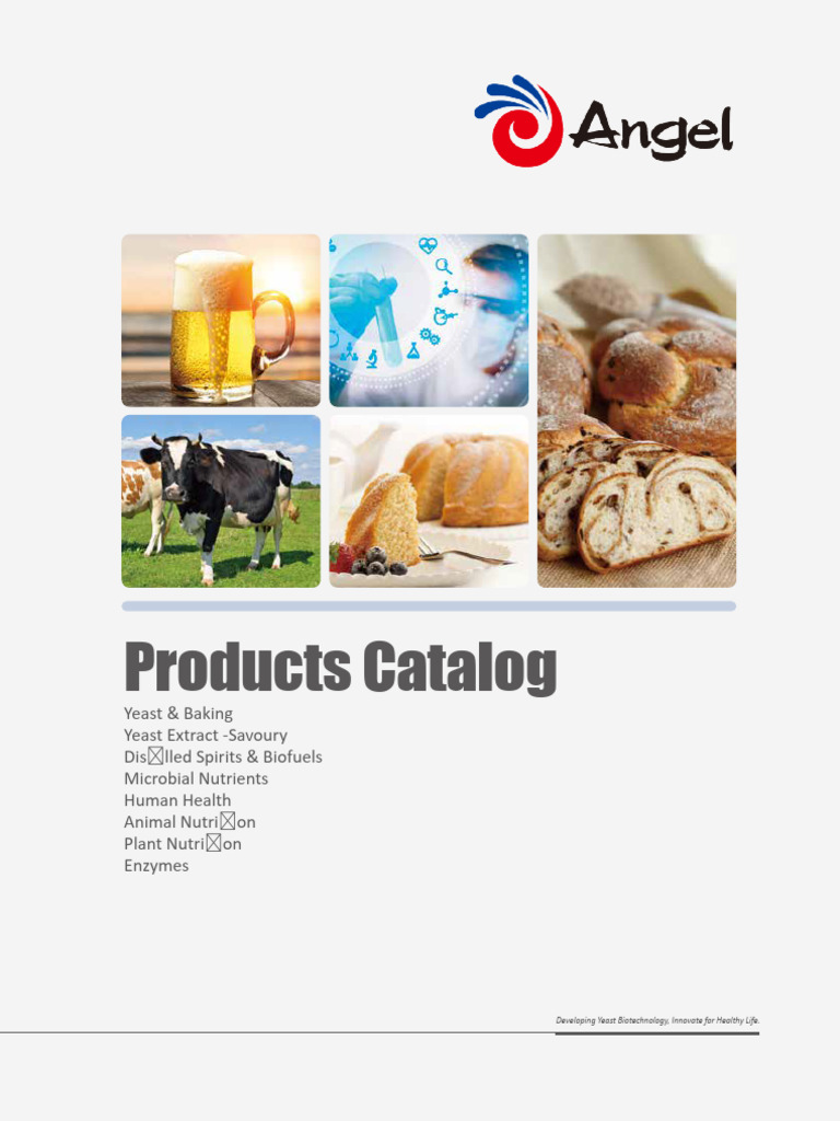Products Catalog | PDF | Breads | Yeast