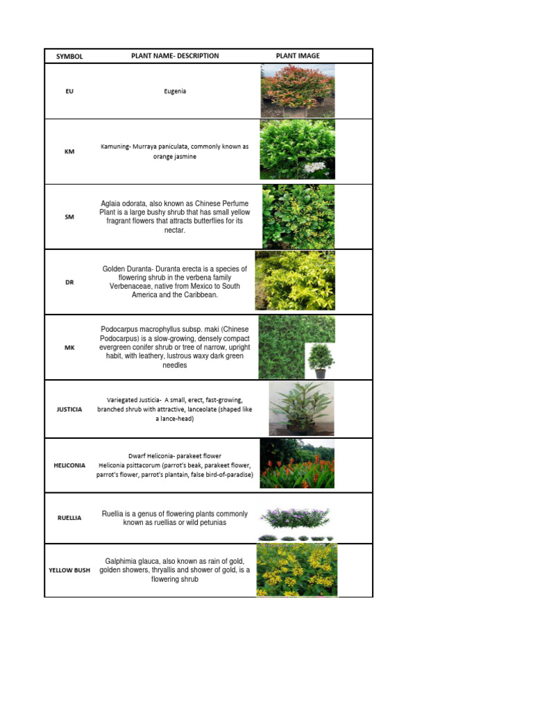 List of Plants | Download Free PDF | Shrub | Organisms