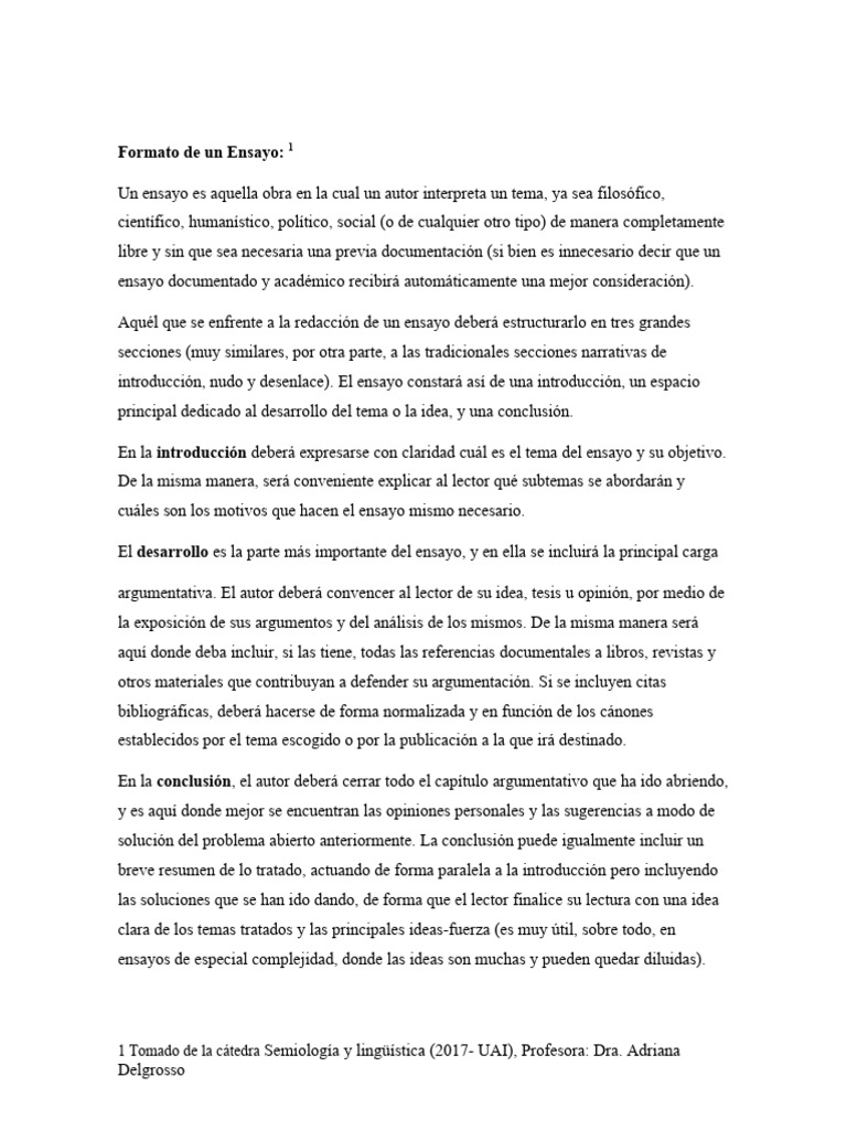Formato de Un Ensayo | PDF