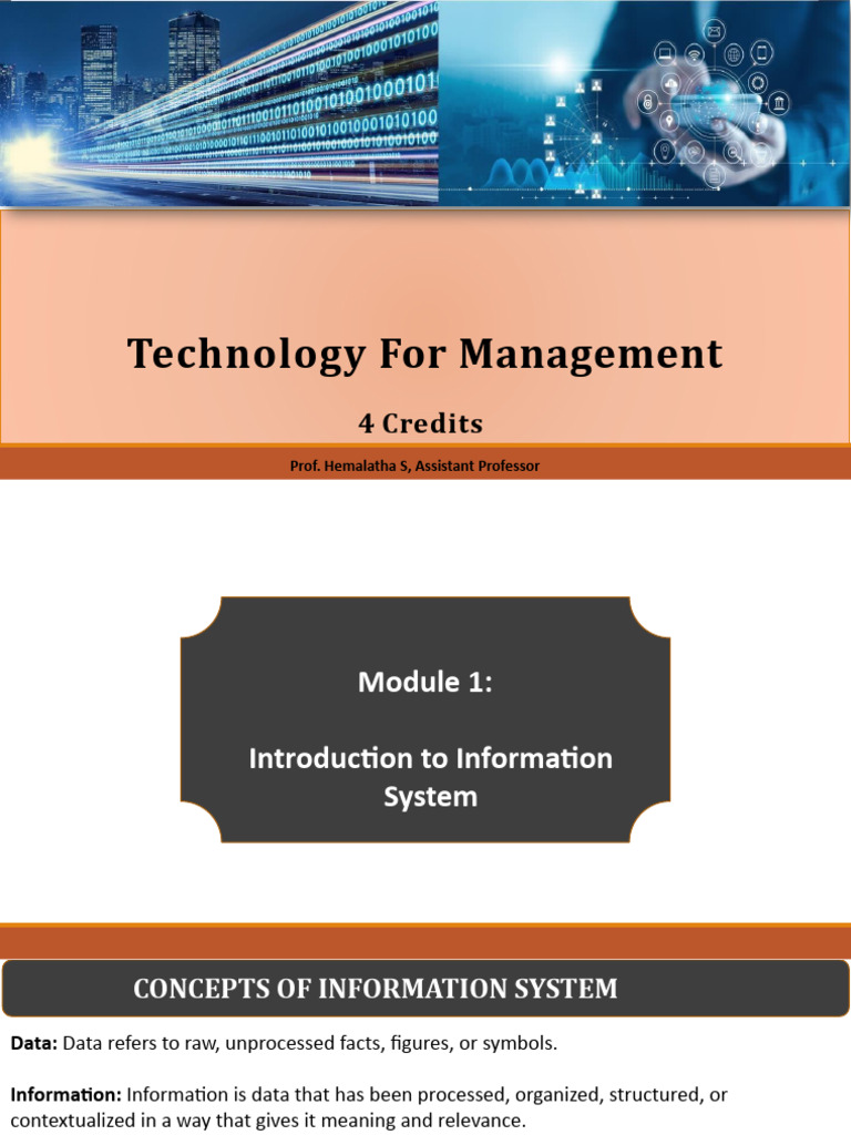TFM Module 1 | PDF | Information System | Databases