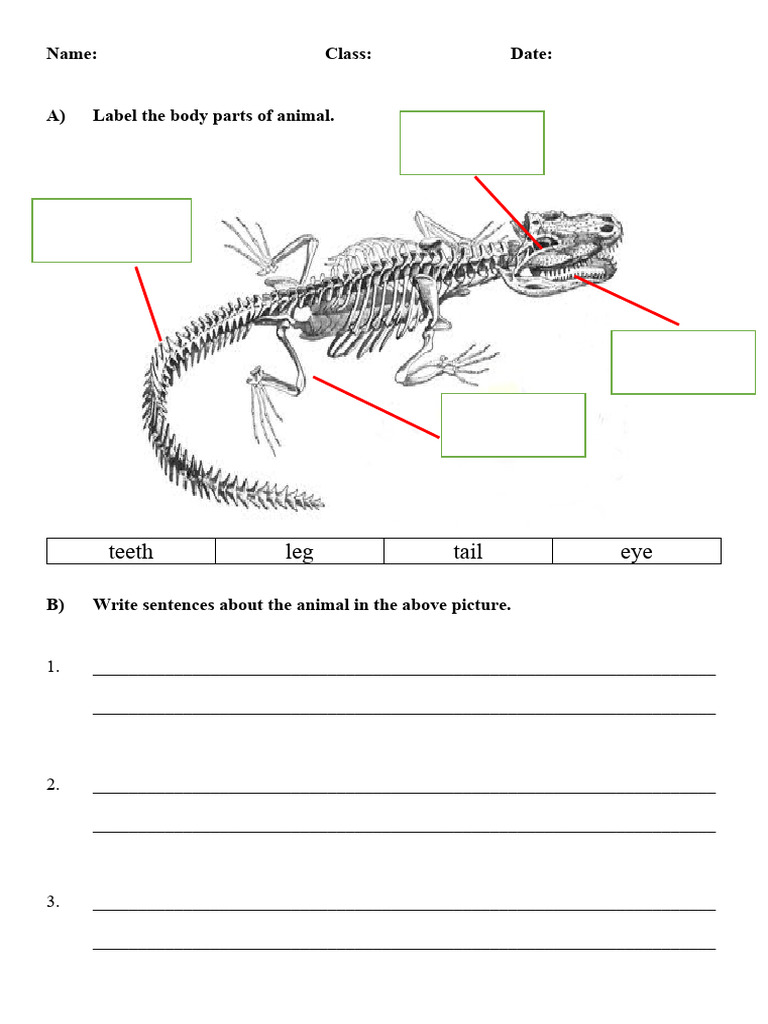 WS Label and Write Crocodile | PDF