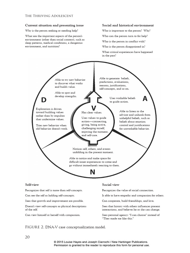 DNA 1 Figure-2-DNA-V-case-conceptualisation-model-Feb-22 | PDF | Self ...