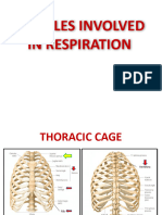 Chest Physio, Manual Techniques | PDF | Exhalation | Clinical Medicine