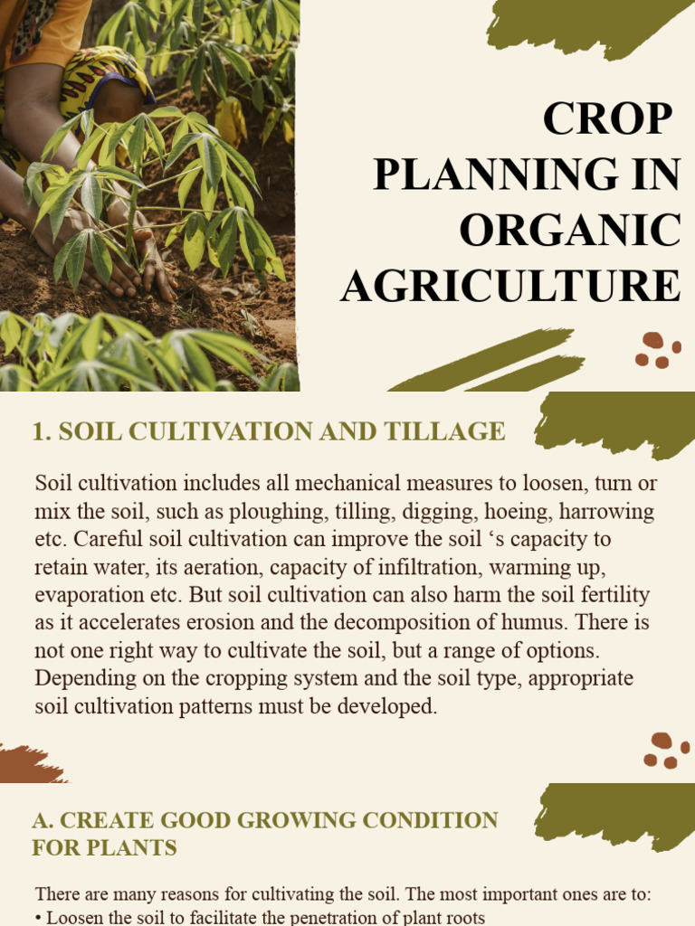 Crop Planning in Organic Agriculture | PDF | Tillage | Crop Rotation