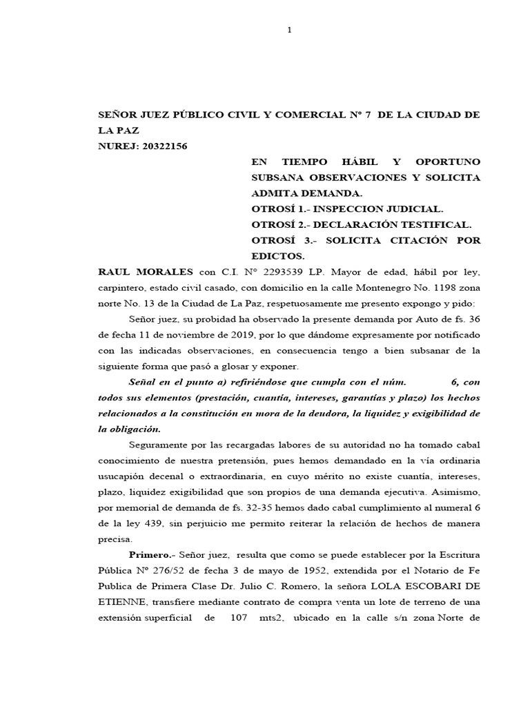 Raul Morales Usucapion Final | PDF | Propiedad | Posesión (Ley)