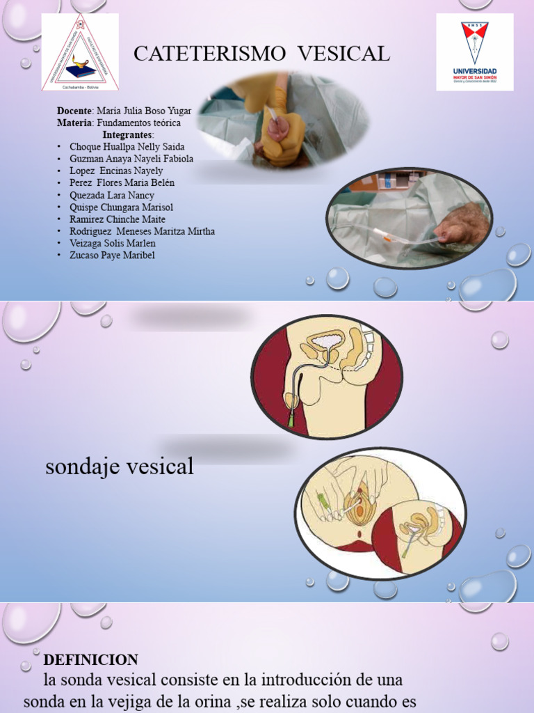 Cateter Vesical | PDF | Anatomia animal | Sistema urinario