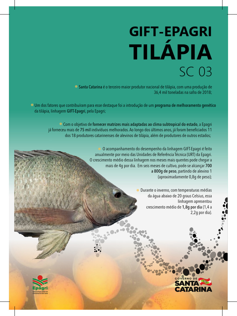 Desempenho da Tilápia GIFT-Epagri SC03 | PDF | Agricultura | Temperatura