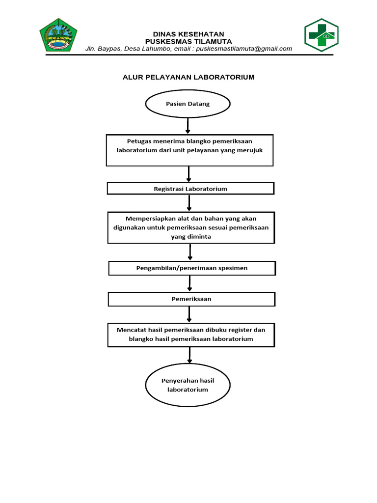 Alur Pelayanan Lab - 100842 | PDF