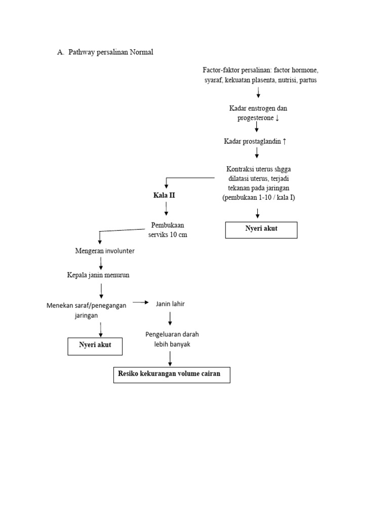 Pathway Persalinan Normal dan Resiko | PDF