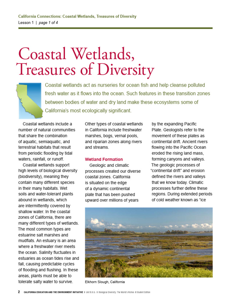 Coastal Wetlands: Ecosystem Diversity | PDF | Wetland | Marsh