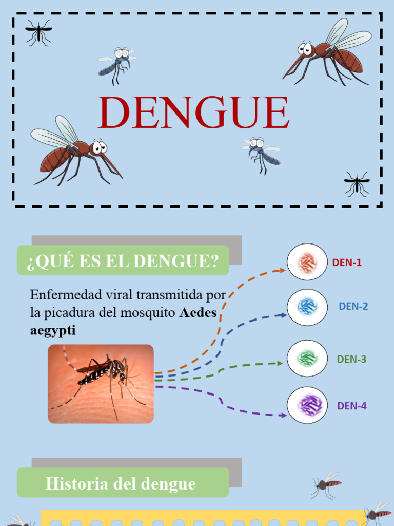 El Dengue | PDF | Enfermedades y trastornos | Medicina CLINICA