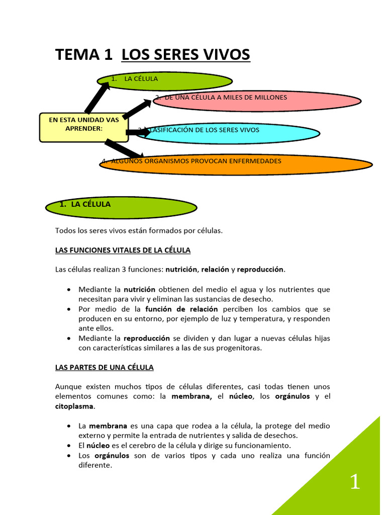 Funciones y Estructura Celular | PDF | Plantas | Aves
