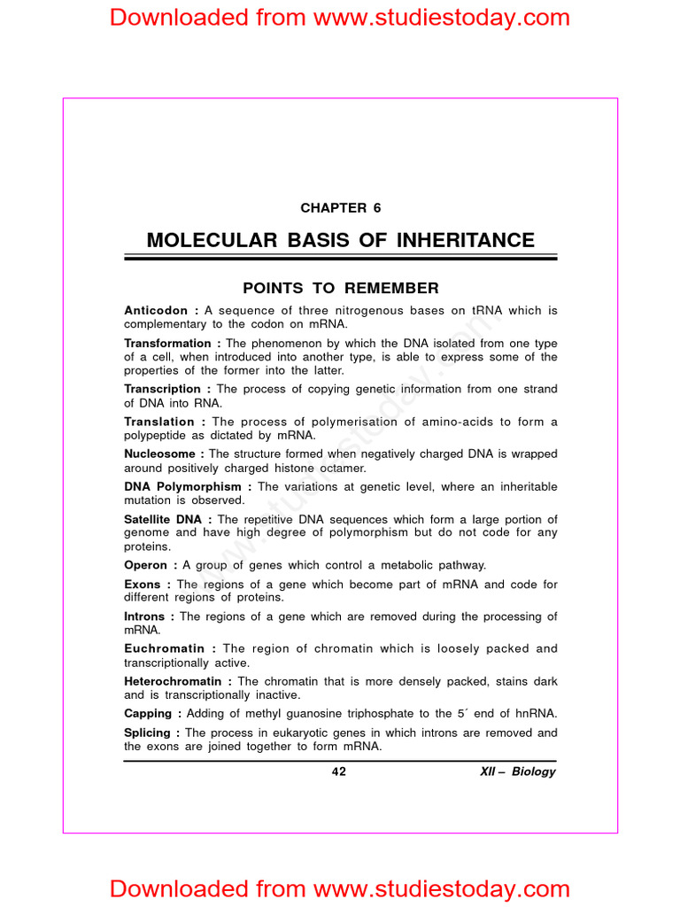 CBSE Class 12 Biology - Molecular Basis of Inheritance Assignment | PDF | Translation (Biology ...