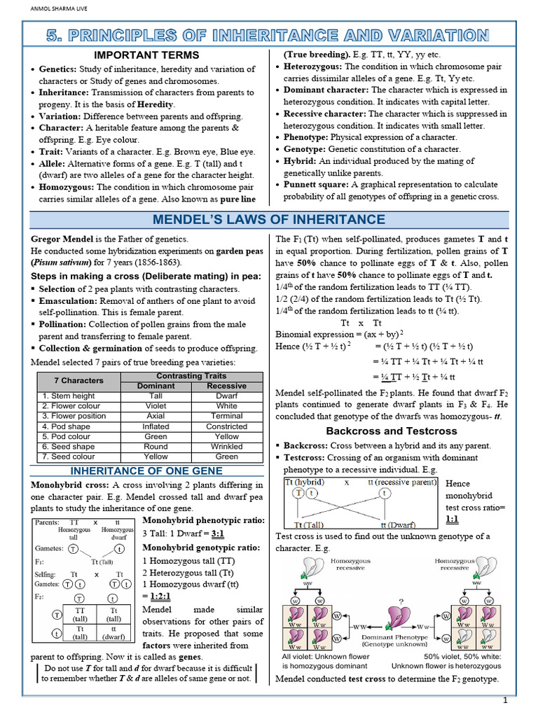 Principles of Inheritance and Variation-Notes | PDF | Dominance ...
