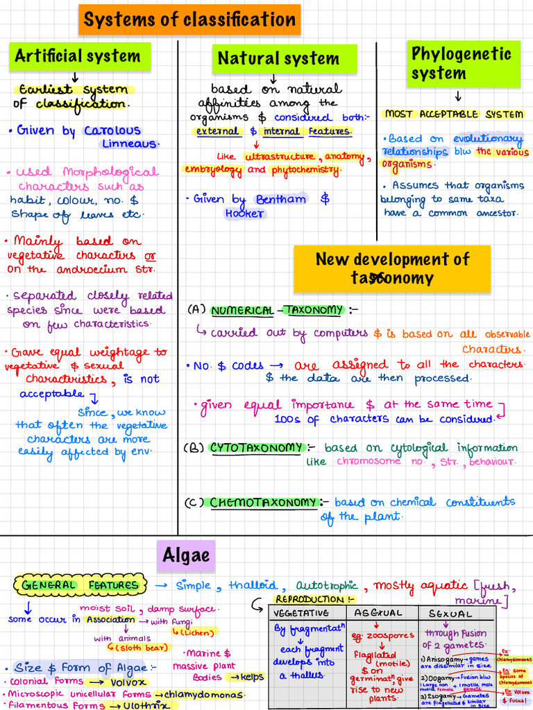 Plant Kingdom Flowchart | PDF | Algae | Female