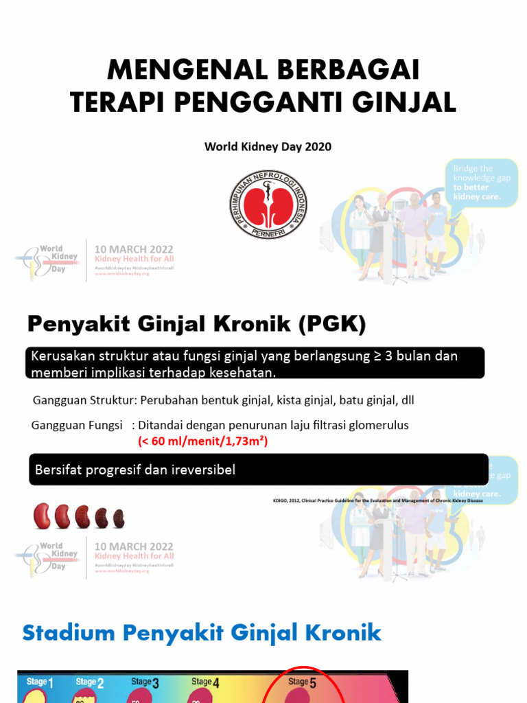 Mengenal Berbagai Terapi Pengganti Ginjal | PDF