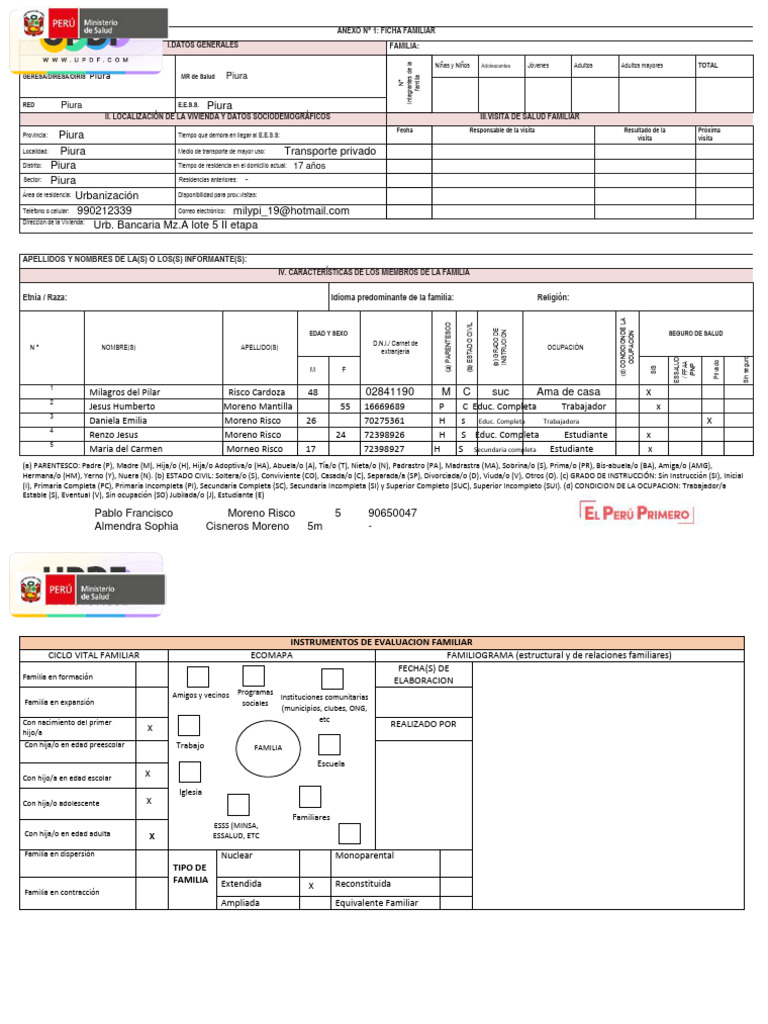 Formulario para Llenar Ficha Familiar | PDF