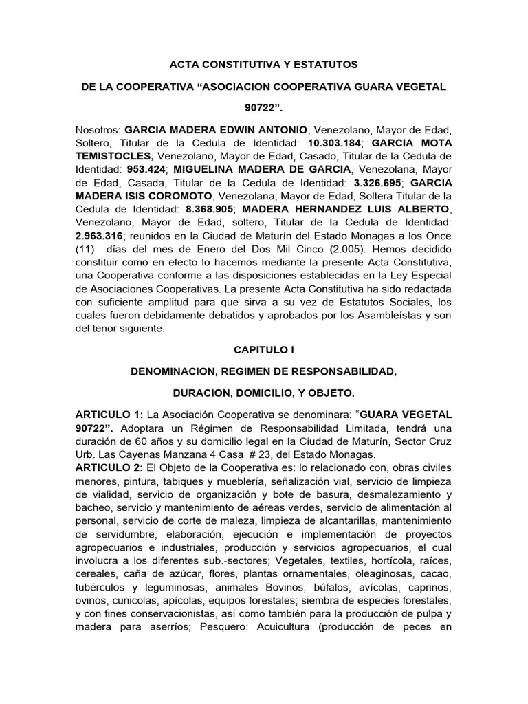 ACTA CONSTITUTIVA Y ESTATUTOS COOPERATIVAS-eLIZABETH | PDF | Cooperativa | Contabilidad