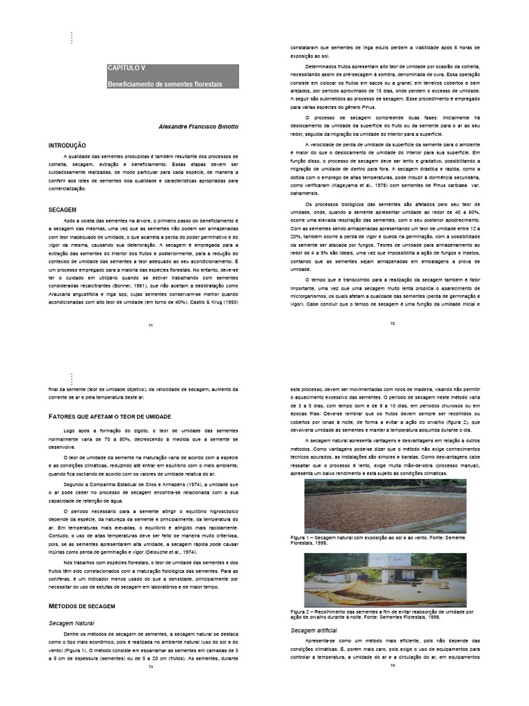 Secagem e Armazenamento de Sementes | PDF | Fruta | Semente