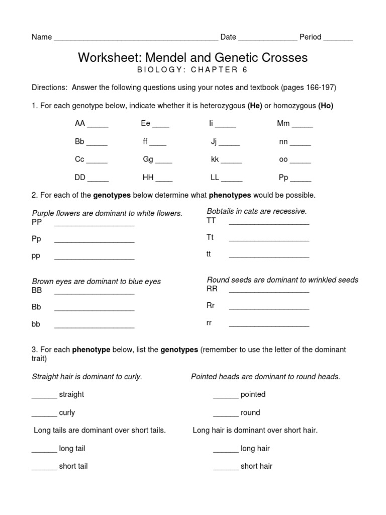 Worksheet Mendel and Genetic Crosses | PDF | Zygosity | Dominance (Genetics)