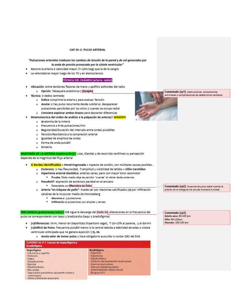 Cap 35-2 Pulso Arterial | PDF | Legumbres | Enfermedades y trastornos