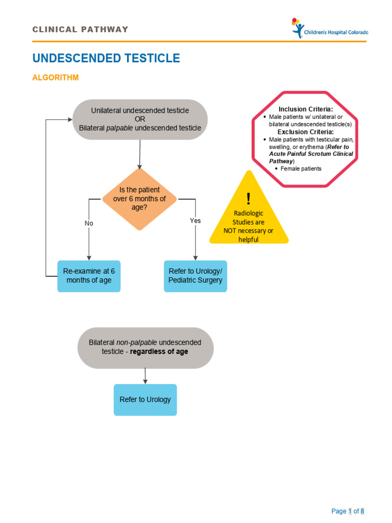 Undescended Testicle Clinical Pathway | PDF | Medicine | Diseases And ...