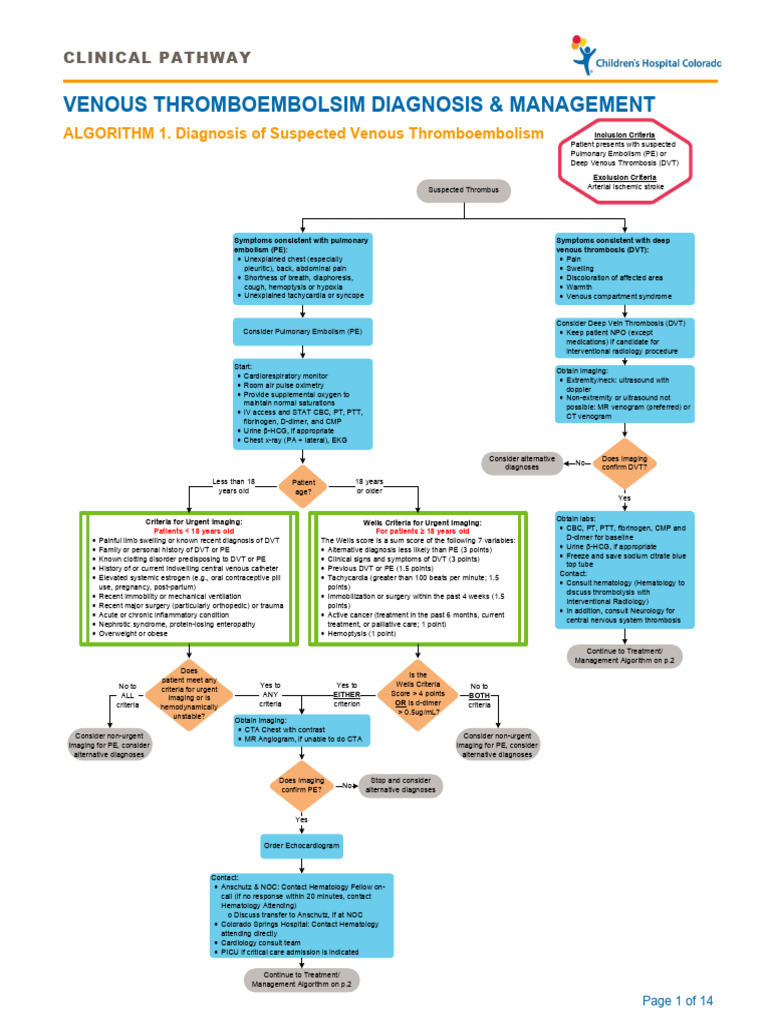 Thrombosis Management | PDF | Thrombosis | Interventional Radiology