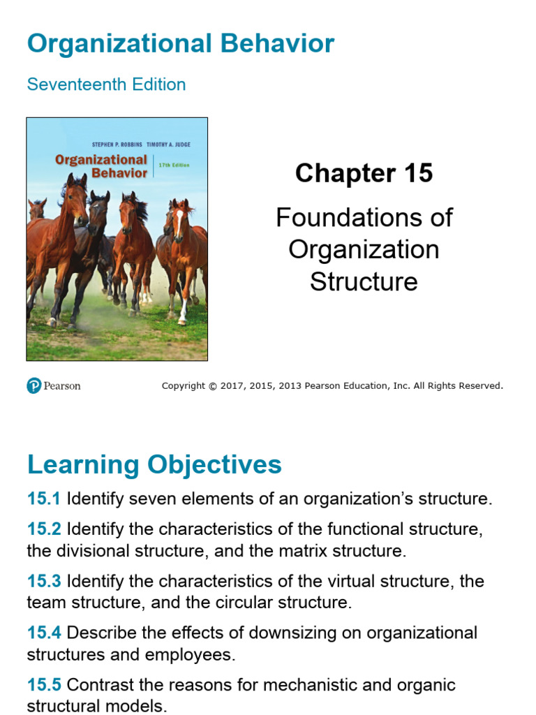 Robbinsjudge Ob17 Inppt 15 | PDF | Organizational Structure | Economies