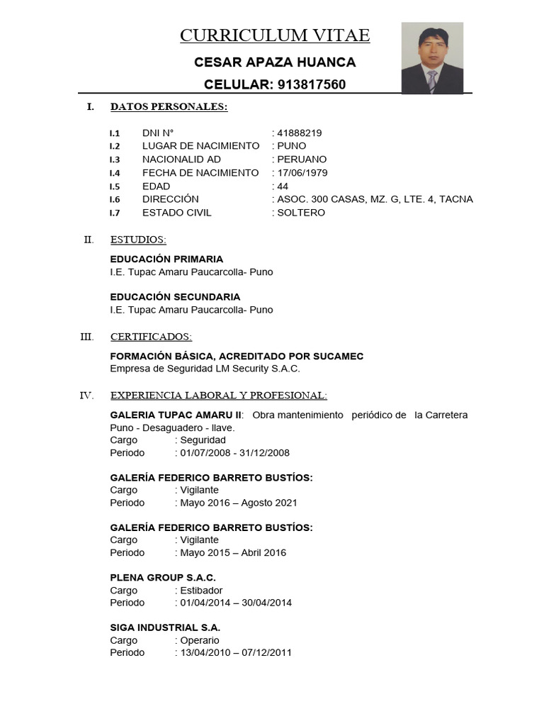Curriculum Vitae Cesar Apaza | PDF