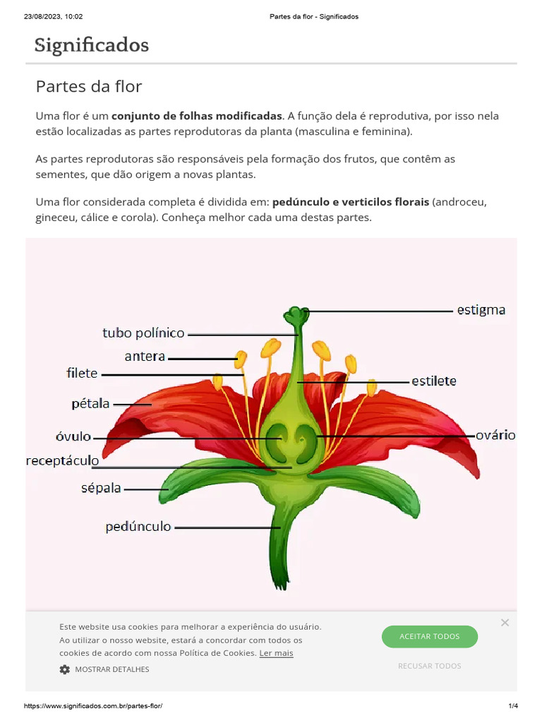 Estruturas e Funções da Flor | PDF | Flores | Áreas da Botânica