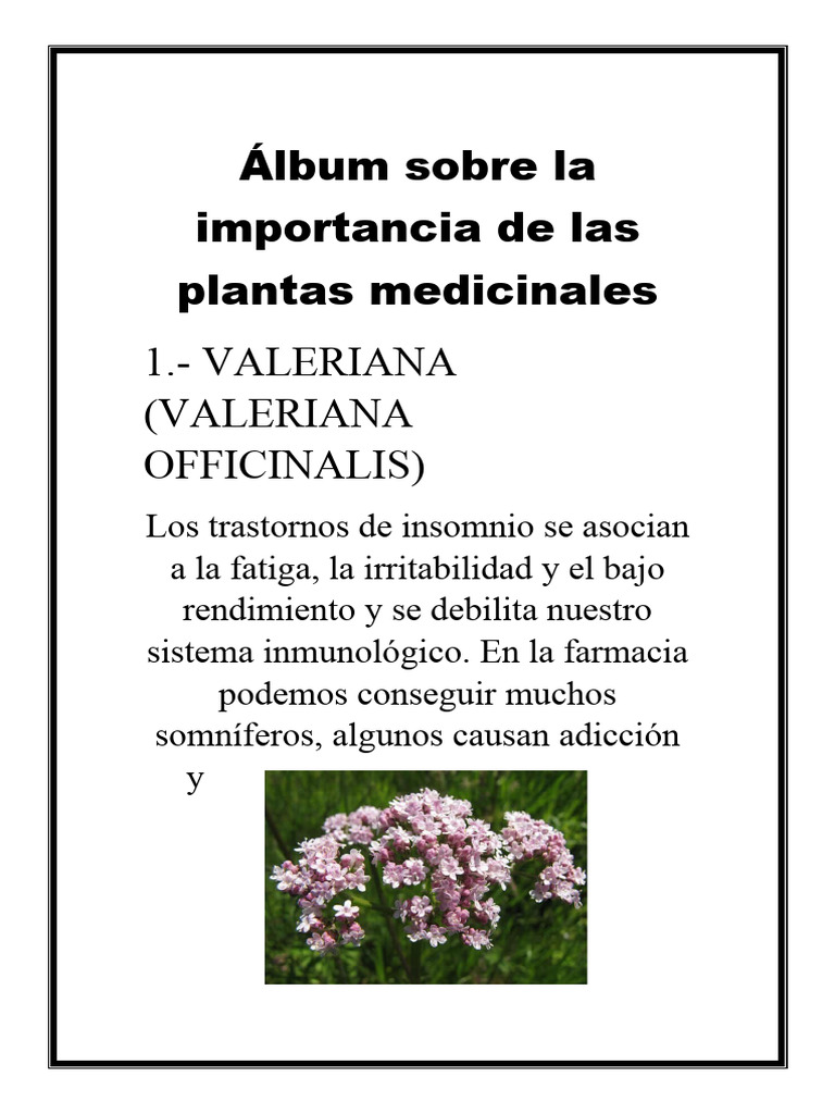 Plantas Medicinales y Sus Beneficios | PDF | Ajo | Medicina CLINICA