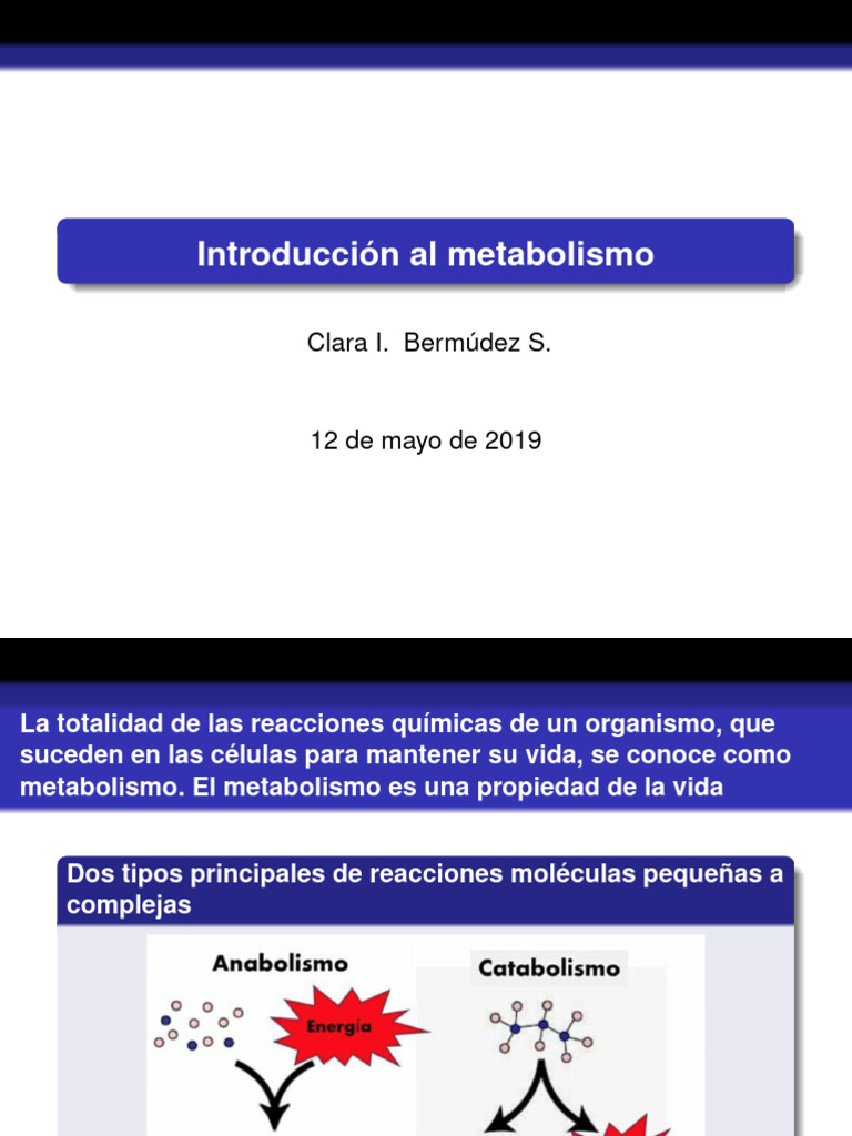 Introduccion Al Metabolismo | PDF Introduccion Al Metabolismo | PDF