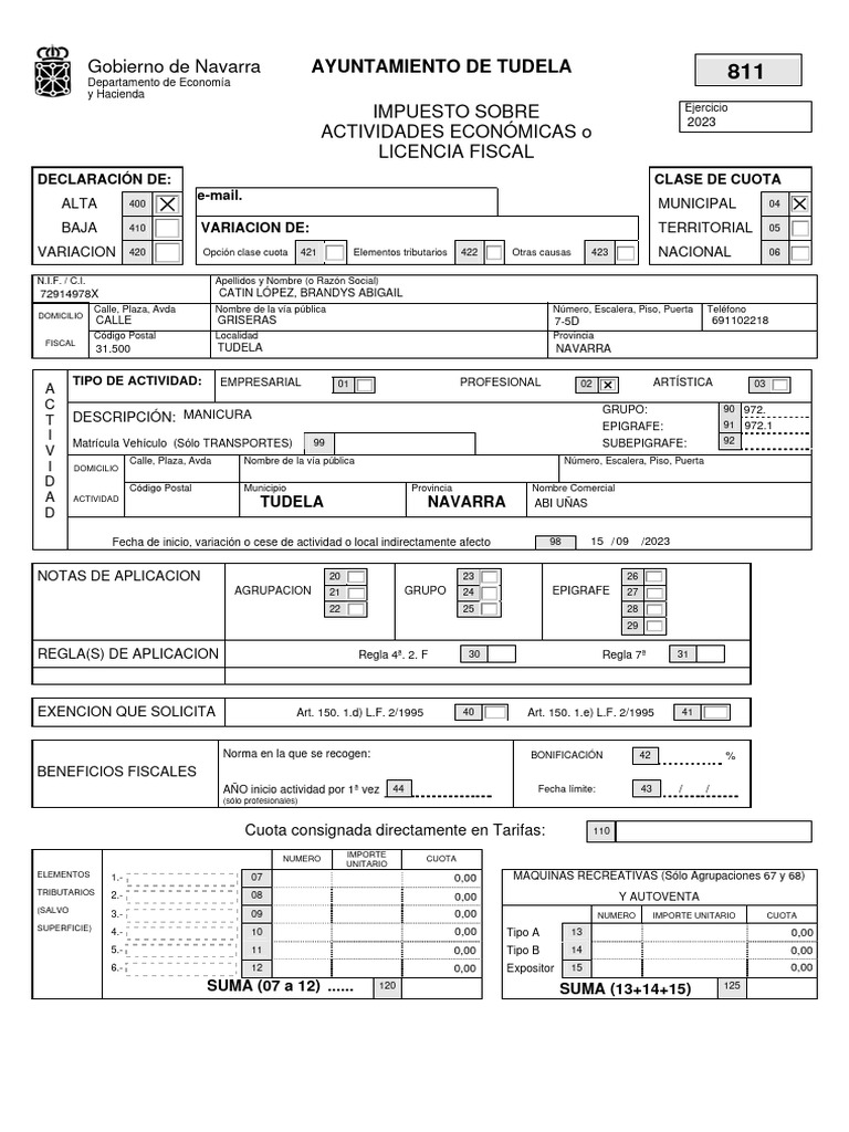 Plantilla de IAE | PDF